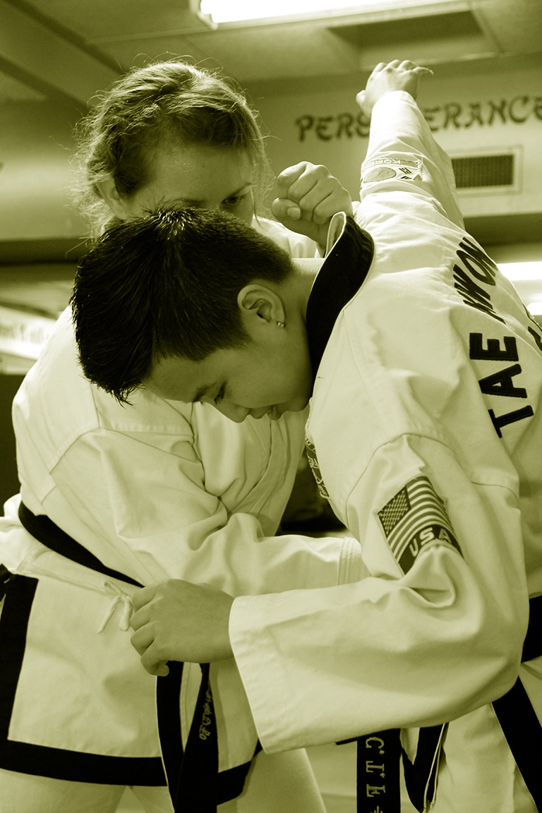 Tae Kwon Do - Grandmaster Bob Davis Martial Arts